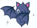 Bats: Ecology, Conservation and Myths - Nature Network Ireland