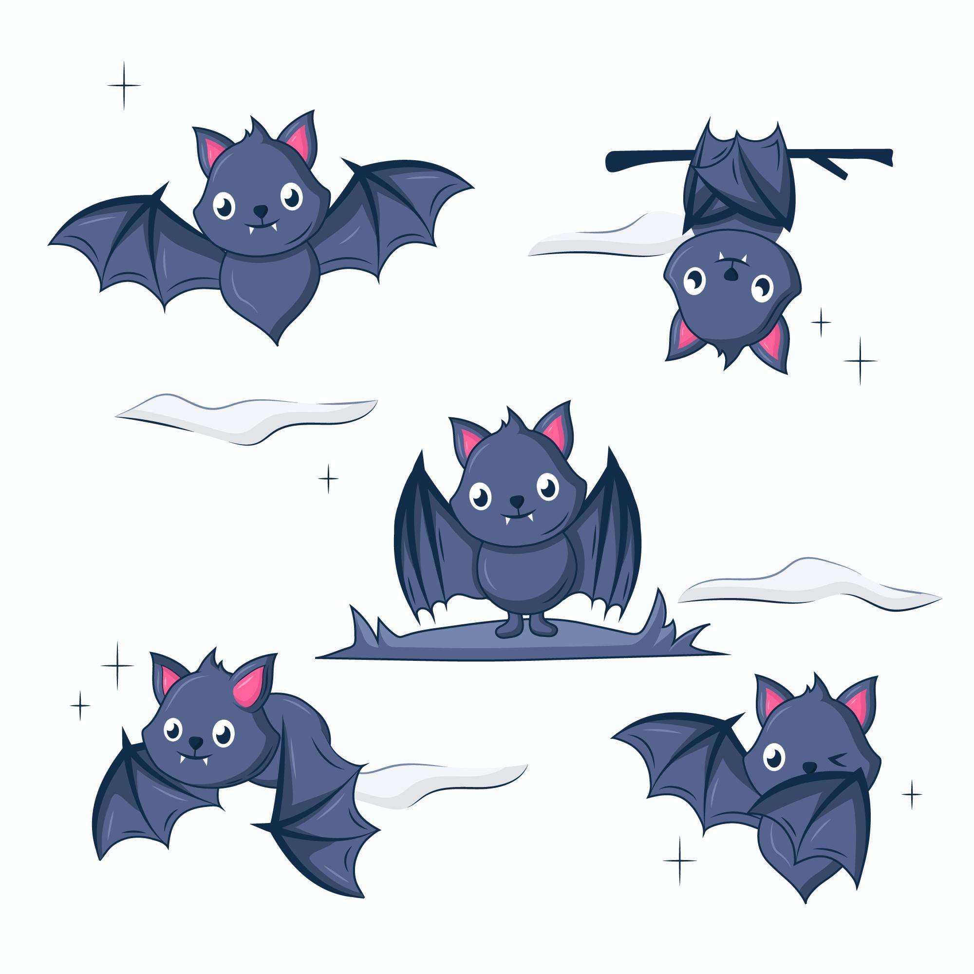 Bats: Ecology, Conservation and Myths - Nature Network Ireland