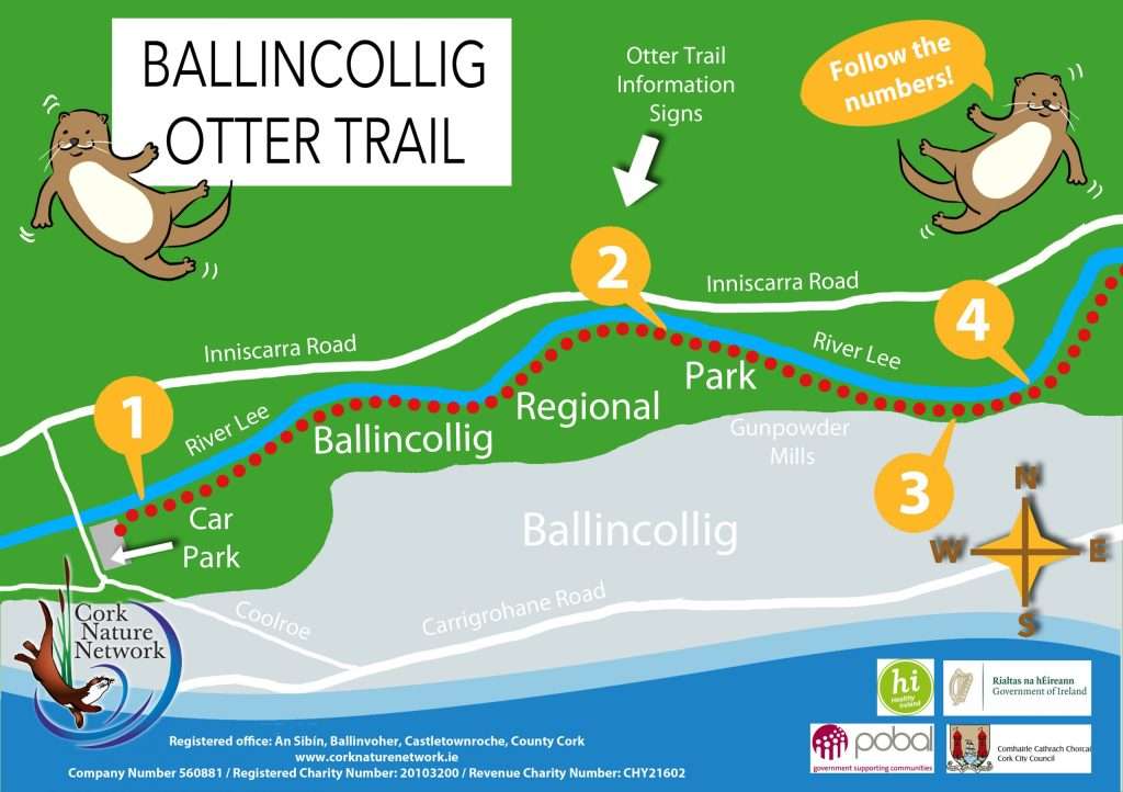 The Eurasian Otter - Our Projects - Nature Network Ireland